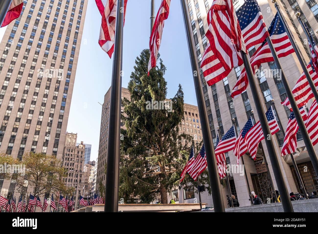 season 75-foot Rockefeller Center Christmas, Norway. , . Spruce Tree ...