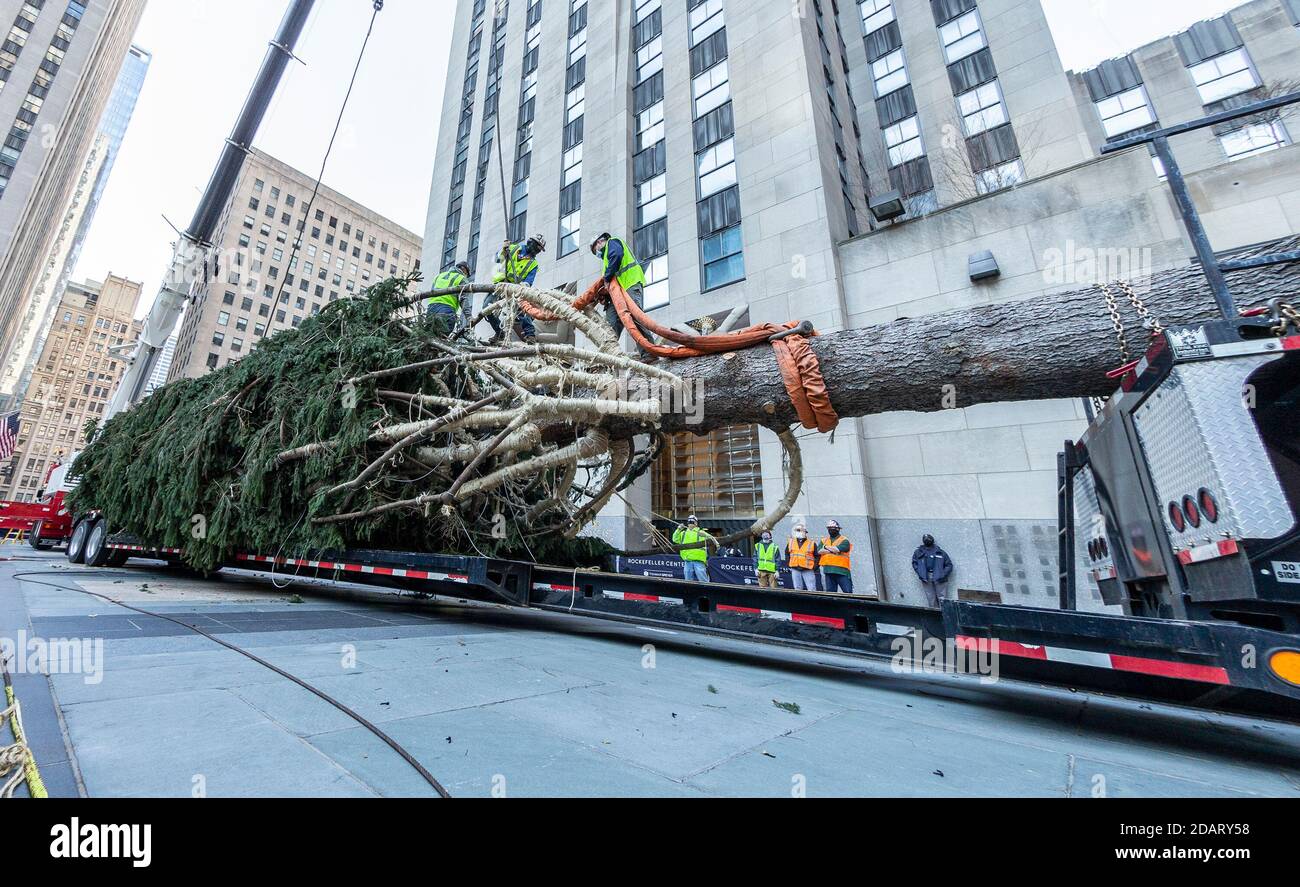 season 75-foot Rockefeller Center Christmas, Norway. , . Spruce Tree ...