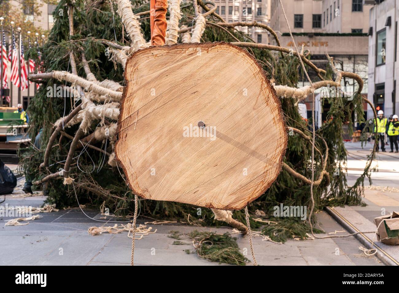 season 75-foot Rockefeller Center Christmas, Norway. , . Spruce Tree ...