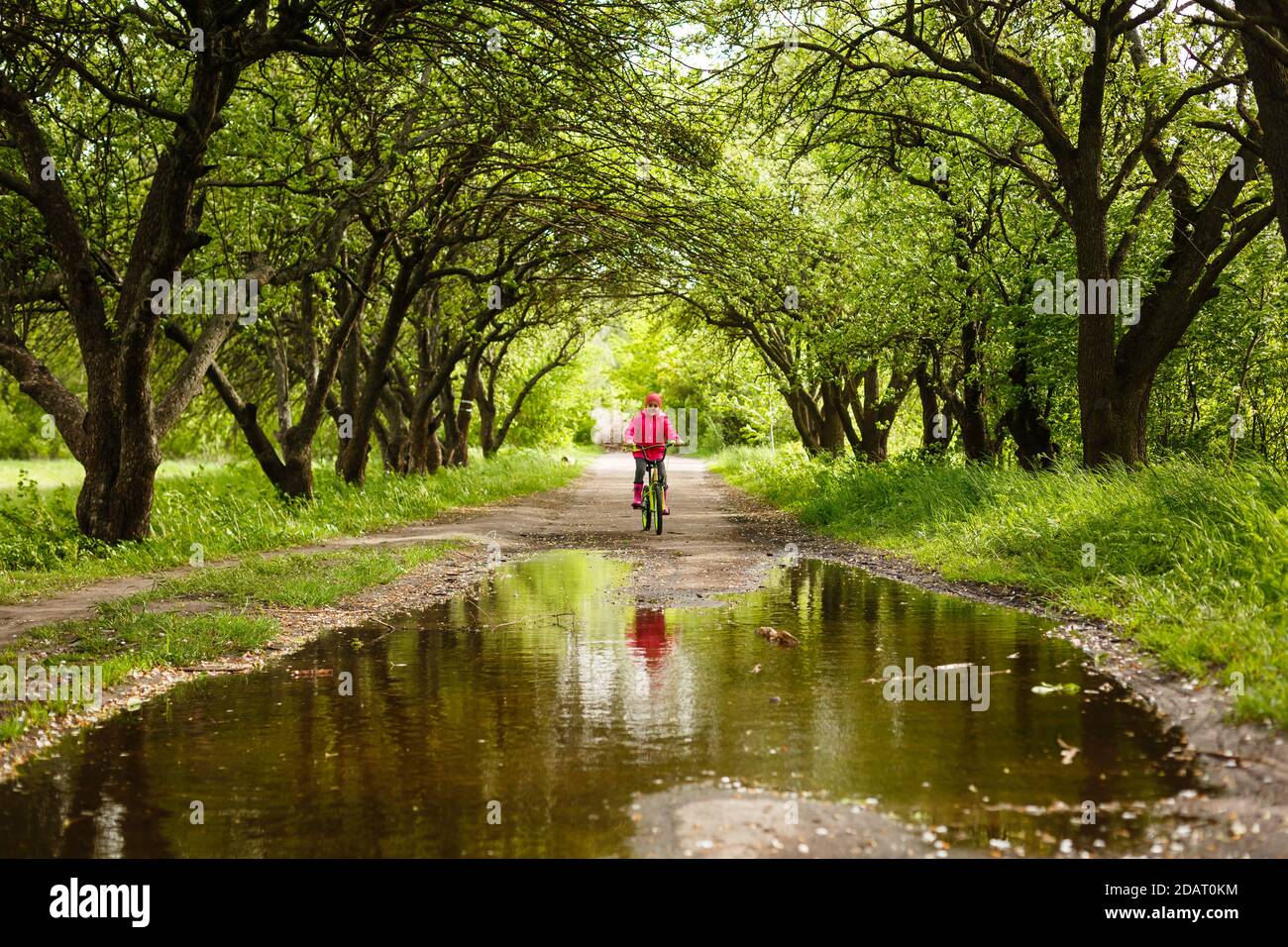 little girl riding bike in water puddle Stock Photo - Alamy
