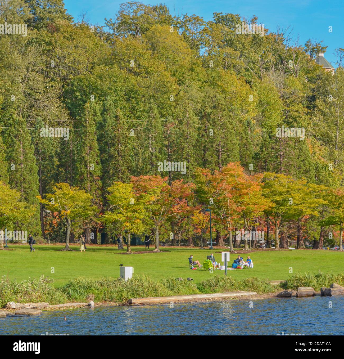 Coulon park hi-res stock photography and images - Alamy