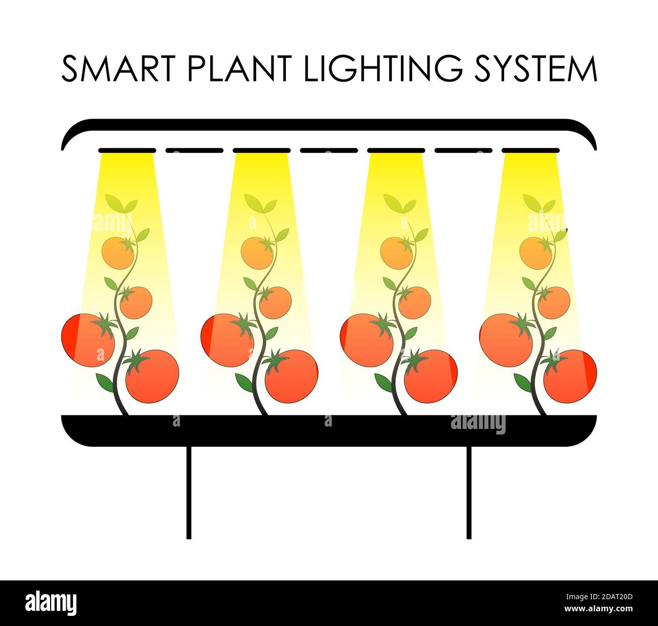 smart lighting system for plants in the greenhouse. Efficient ...