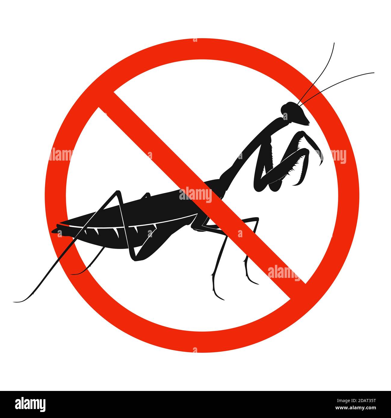 The Mantis with red ban sign. STOP mantis sign isolated. Forbid mantis ...