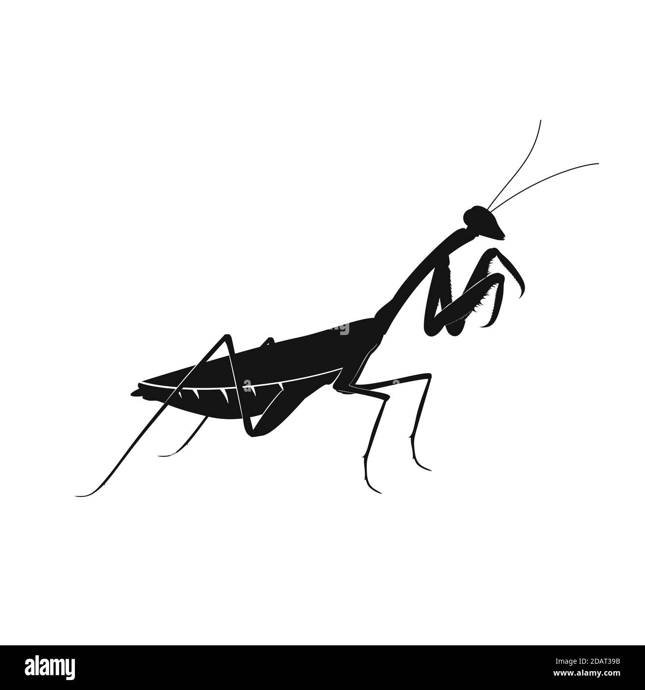 Mantis icon. Black silhouette of mantis. Vector illustration. Mantis ...
