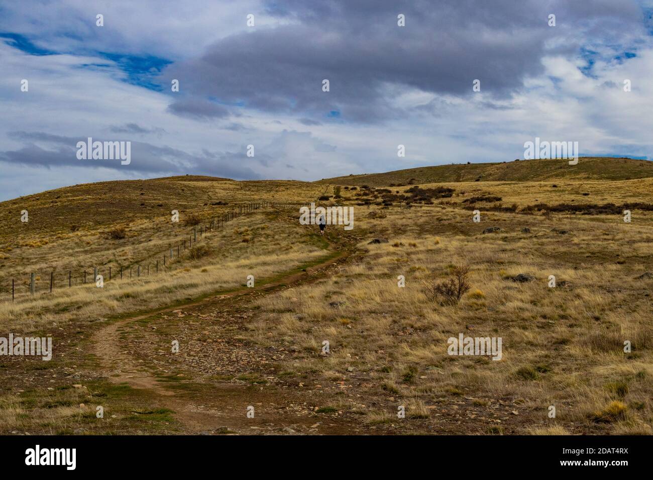 Long hard path up the nz farm hill Stock Photo - Alamy