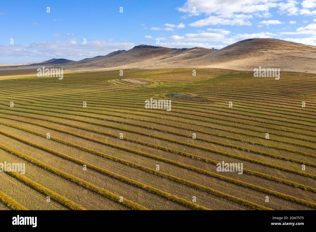 Conservation methods hi-res stock photography and images - Alamy