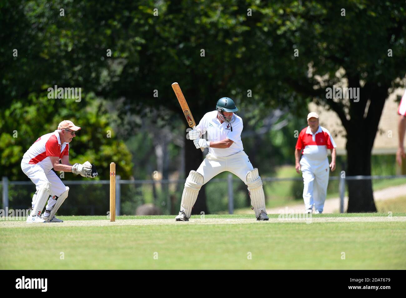 Elderly men playing cricket hi-res stock photography and images - Alamy