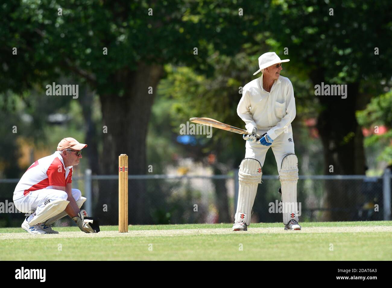 Elderly men playing cricket hi-res stock photography and images - Alamy