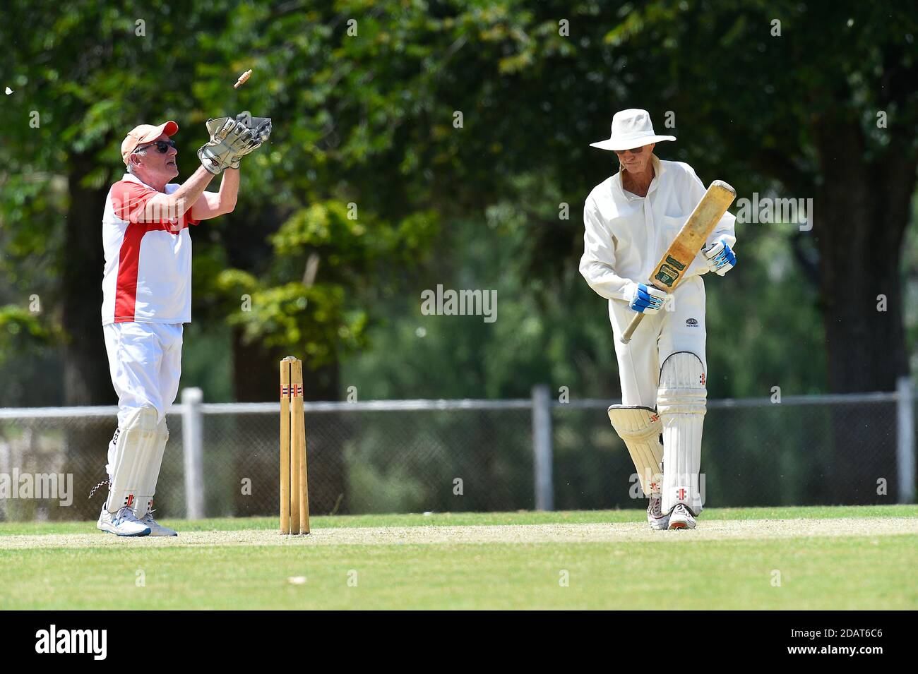 November 2020. Benalla Bushrangers Over 60s v Country Cricket Victoria ...