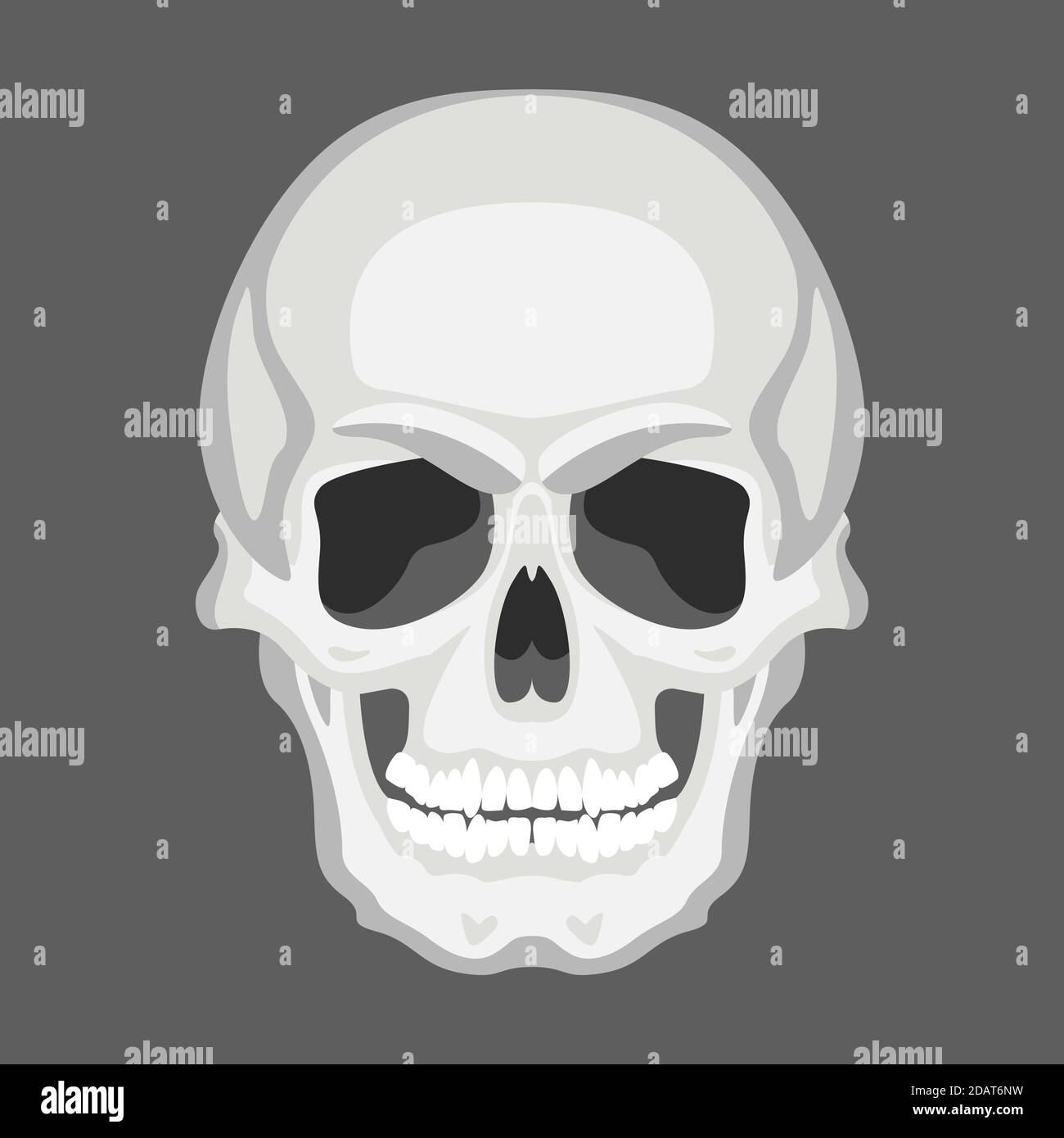 skull human,vector illustration ,flat style, front side Stock Photo - Alamy