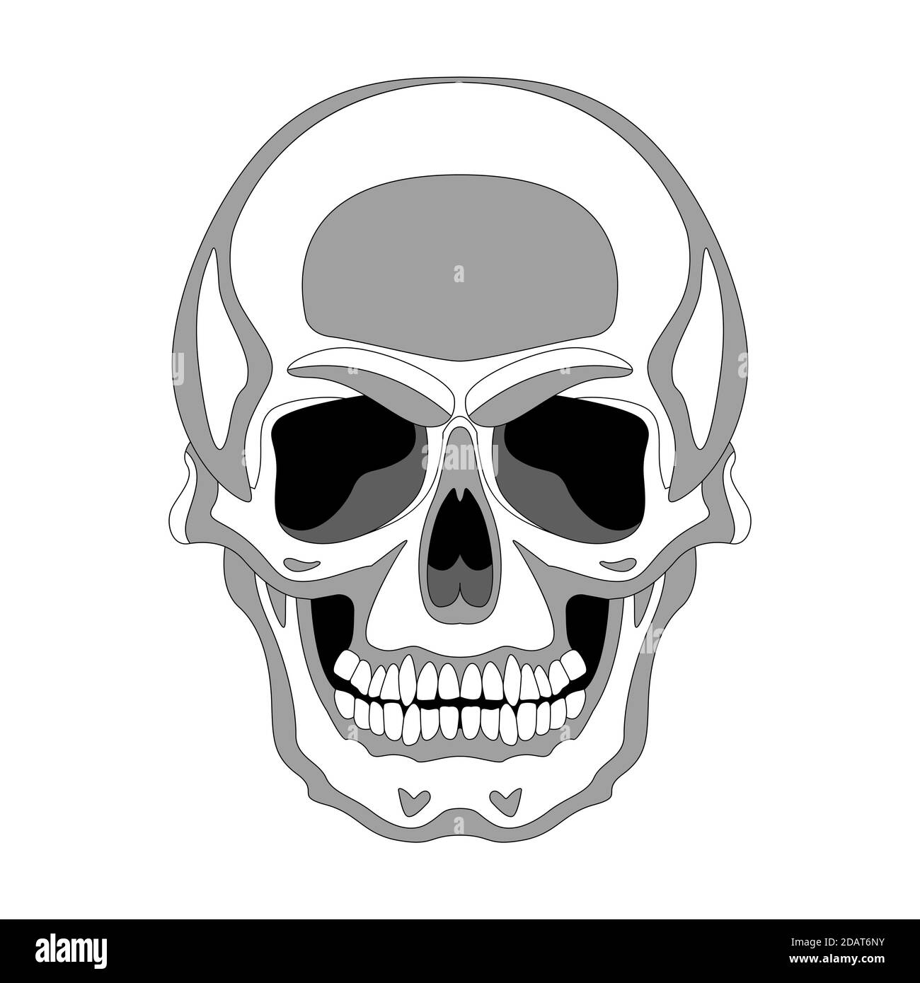 skull human,vector illustration , lining draw, front side Stock Photo ...