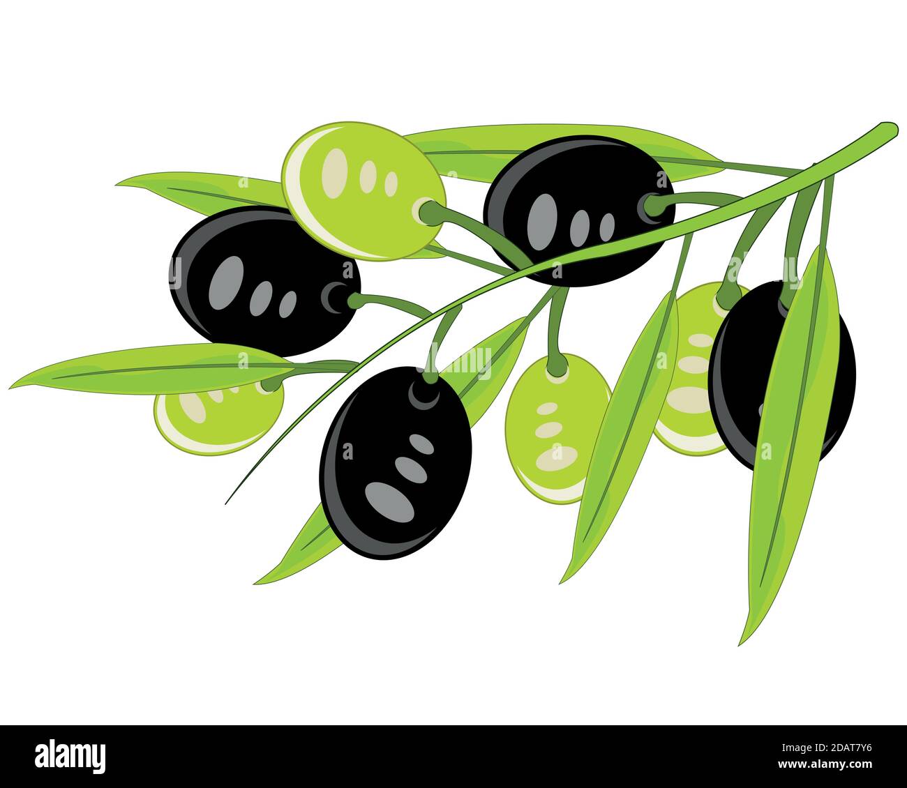 Unripe Stock Vector Images - Alamy