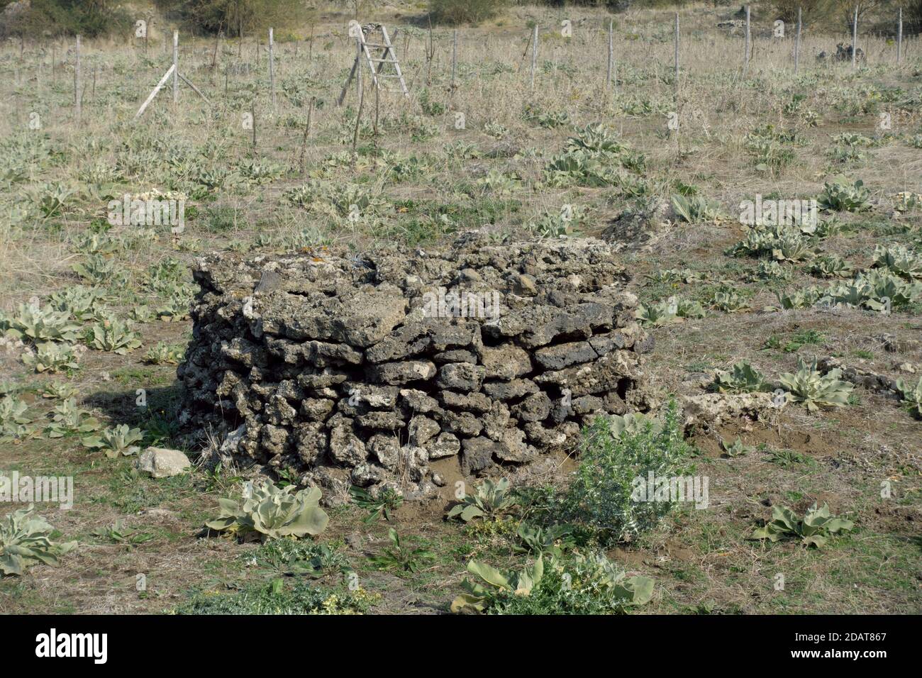 stacked lava rocks from the tilled soil in Etna Park a landmark of a ...