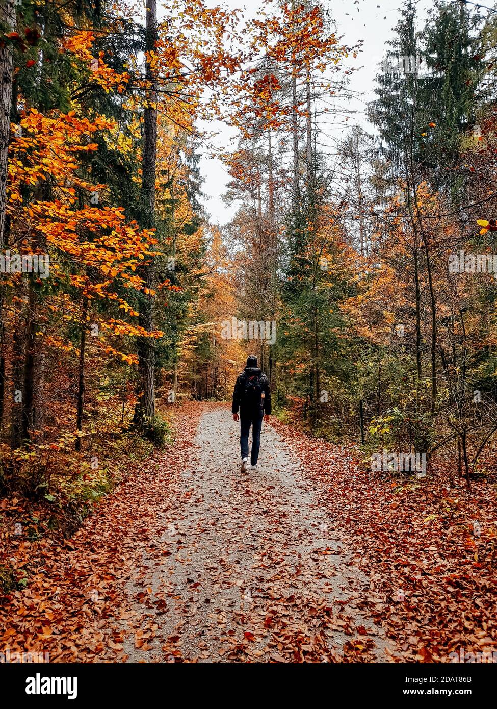 Vertical shot of a man hiking in a pathway surrounded by autumn trees ...