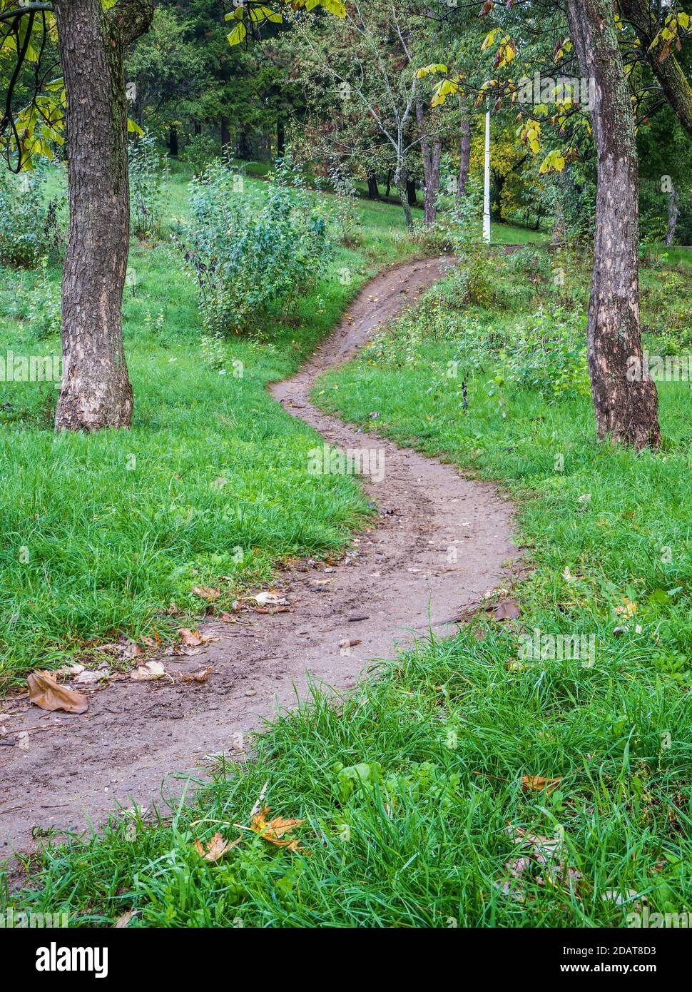 Curved winding road between hi-res stock photography and images - Alamy