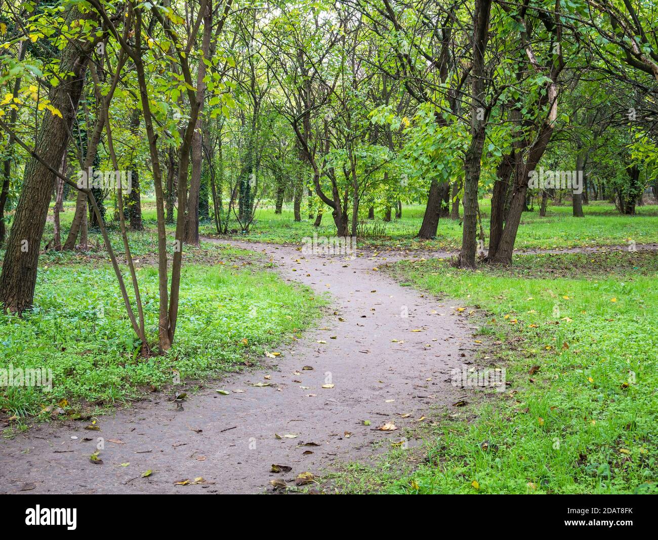 Footpath or pathway in Youth park, Bucharest. Nature trail in the ...