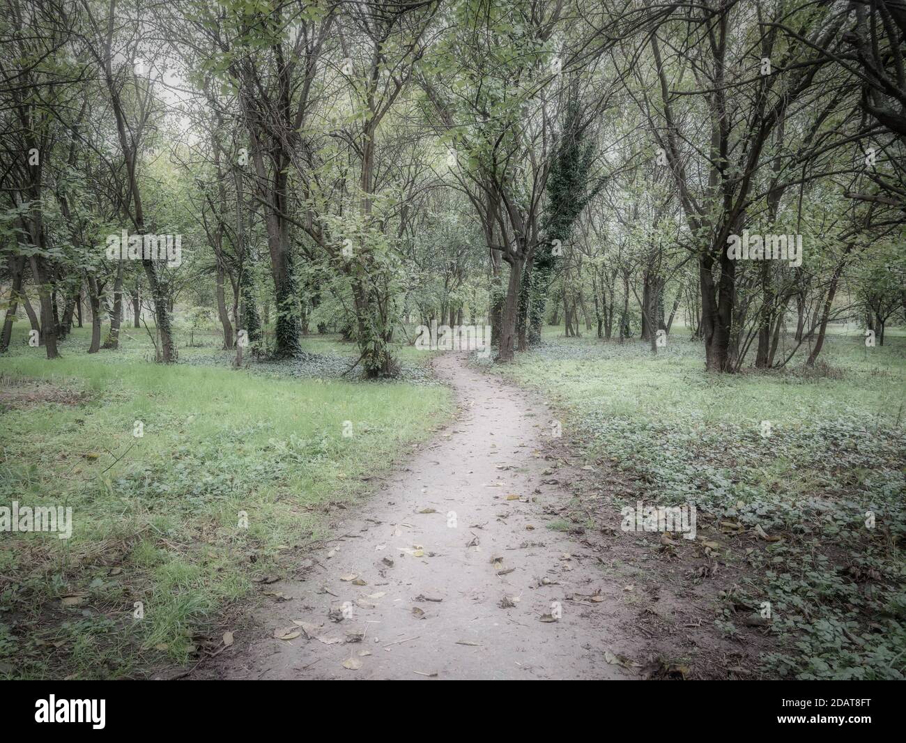 Footpath or pathway in Youth park, Bucharest. Nature trail in the ...