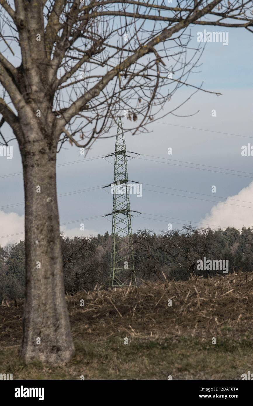 high voltage line in winter, tree in front, forest in the back, no snow ...