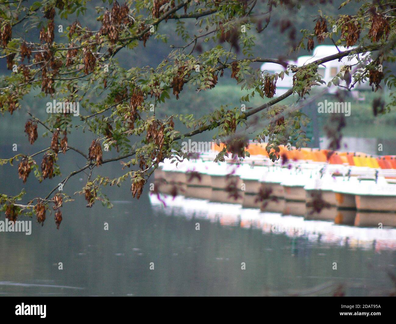 boats on a lake in germany Stock Photo - Alamy