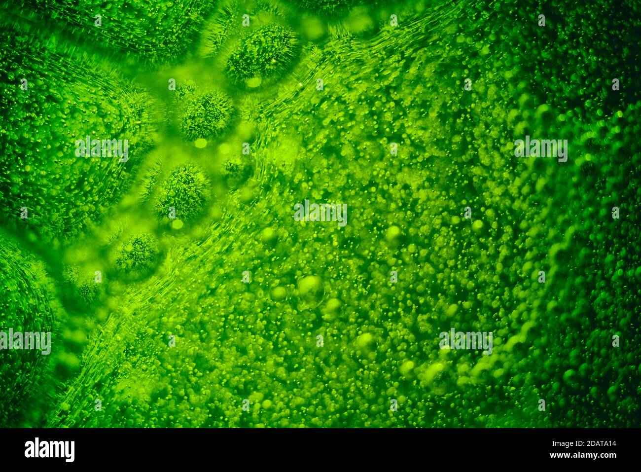 Abstract green background with moving dots Stock Photo - Alamy