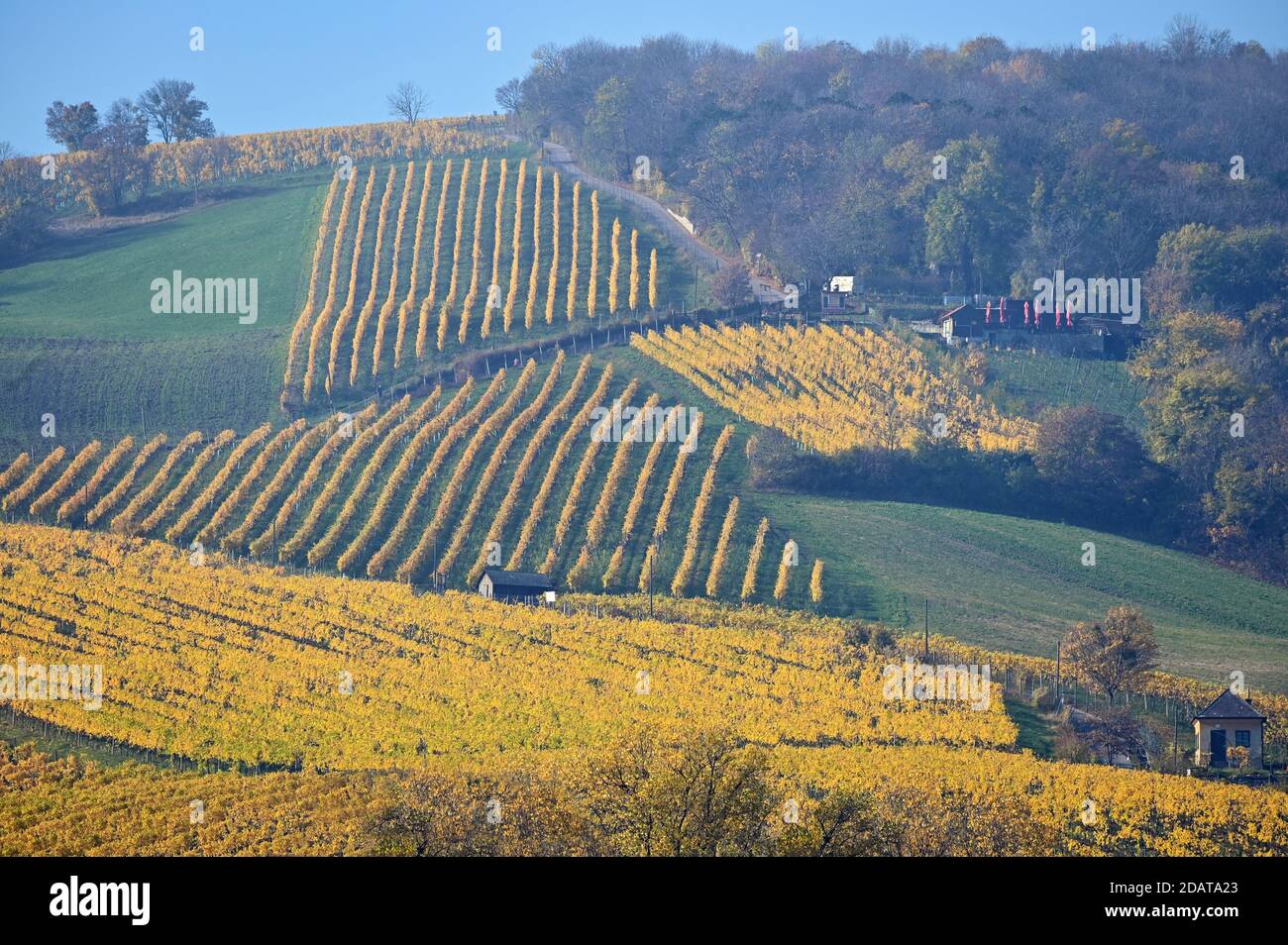 Wienerwald landscape hi-res stock photography and images - Alamy