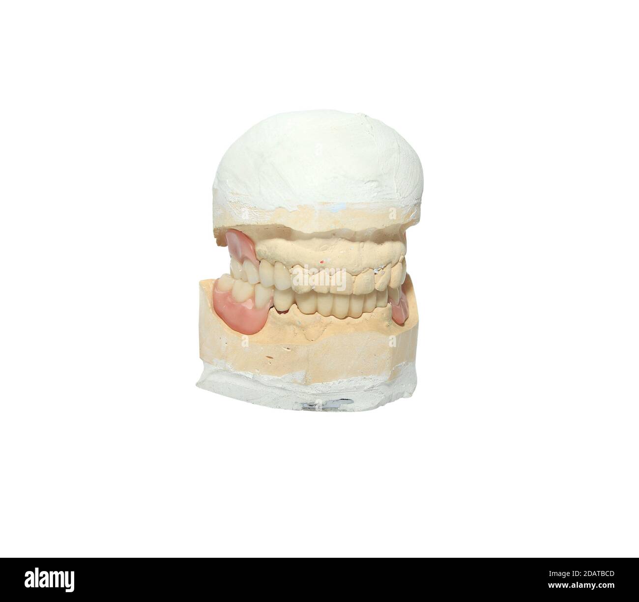 Vertical closeup shot of teeth made of clay on a white background Stock ...