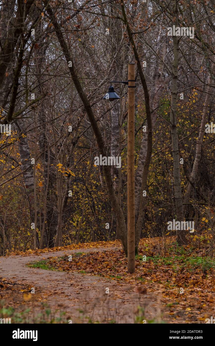 nature trails meander in autumn with leaves falling from nearby tree ...