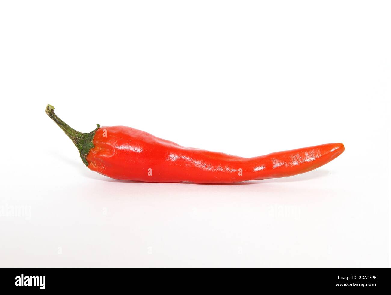Spicy pepper isolated on a white background Stock Photo - Alamy