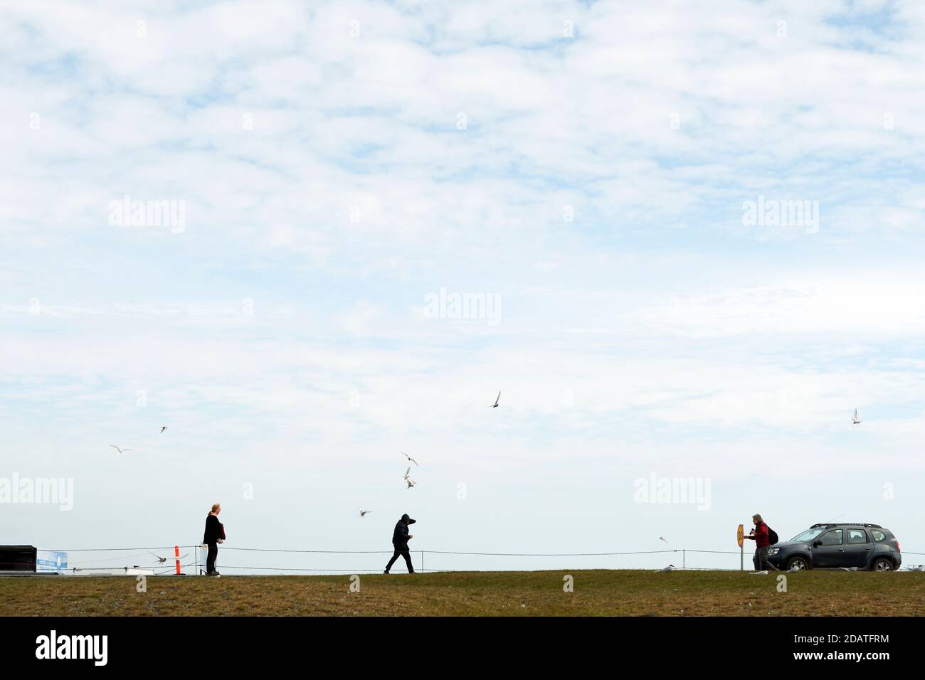 Swooping hi-res stock photography and images - Alamy