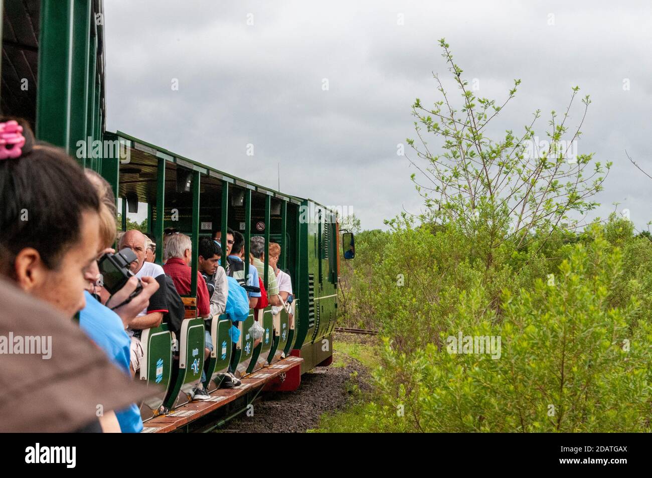 Visitors on board the Jungle train (Rainforest Ecological Train ...