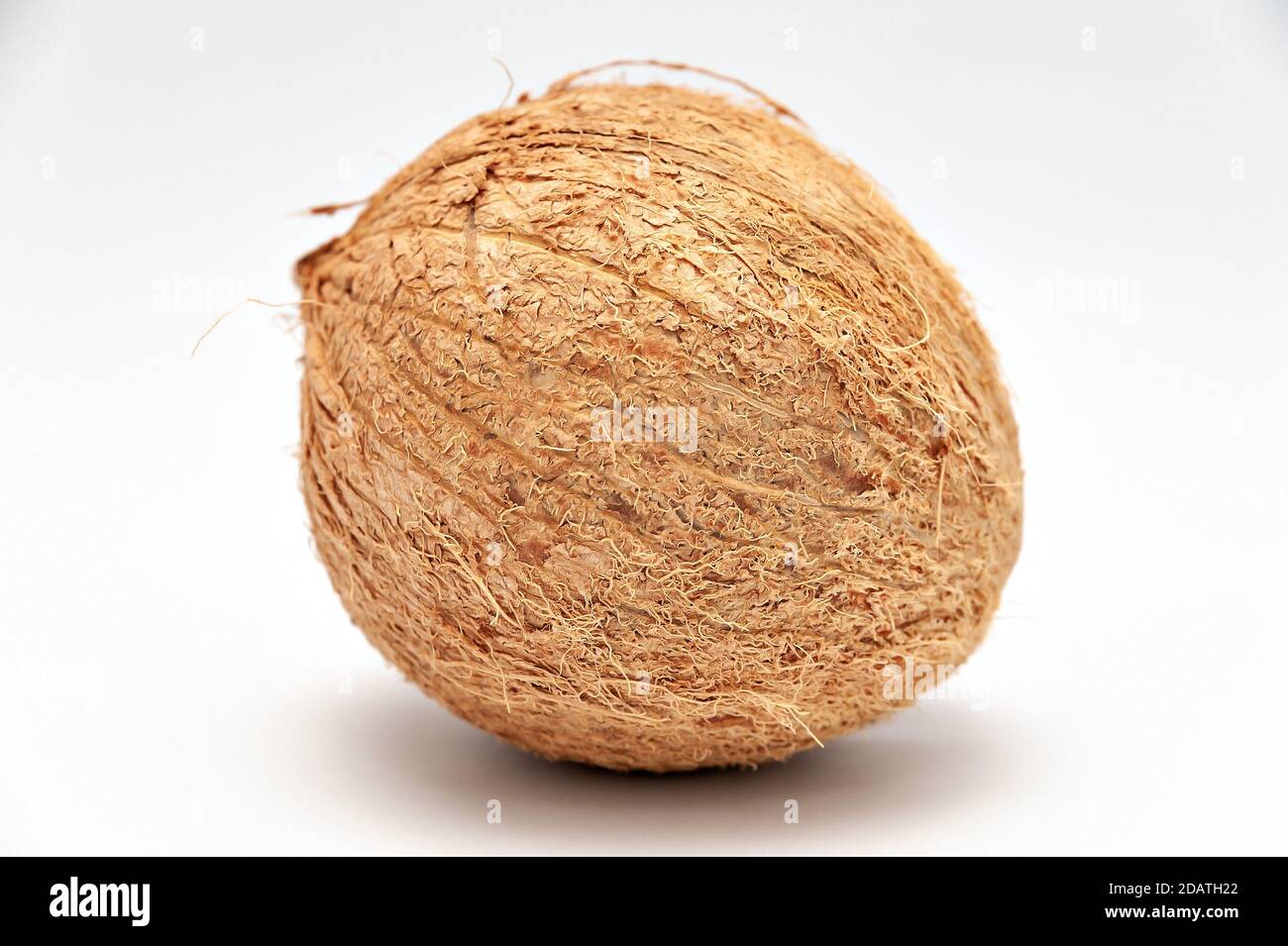 Healthy food - Whole coconut in close-up. Isolated on white background ...
