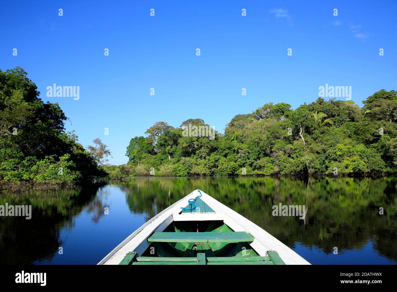 Exploring the Amazon. Amazon Rainforest, Brazil Stock Photo - Alamy