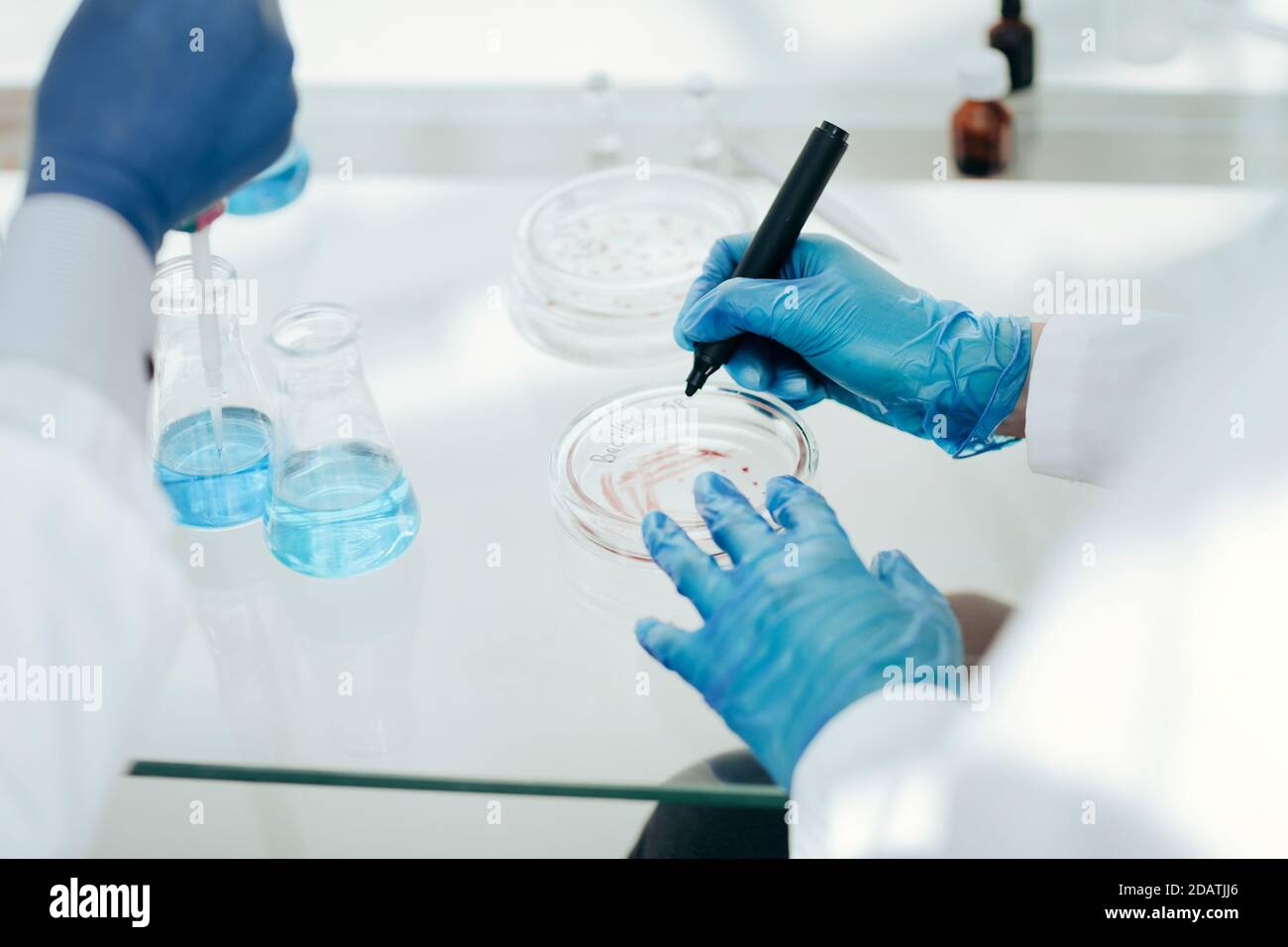 Scientists of the laboratory testing of microbial contamination in ...