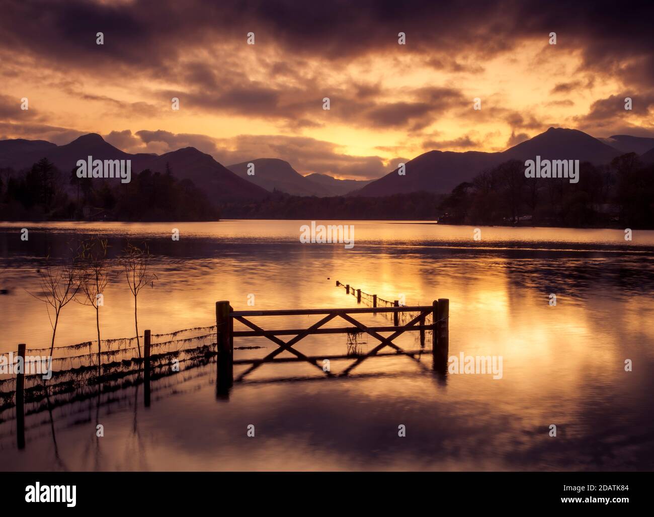 Half under water hi-res stock photography and images - Alamy