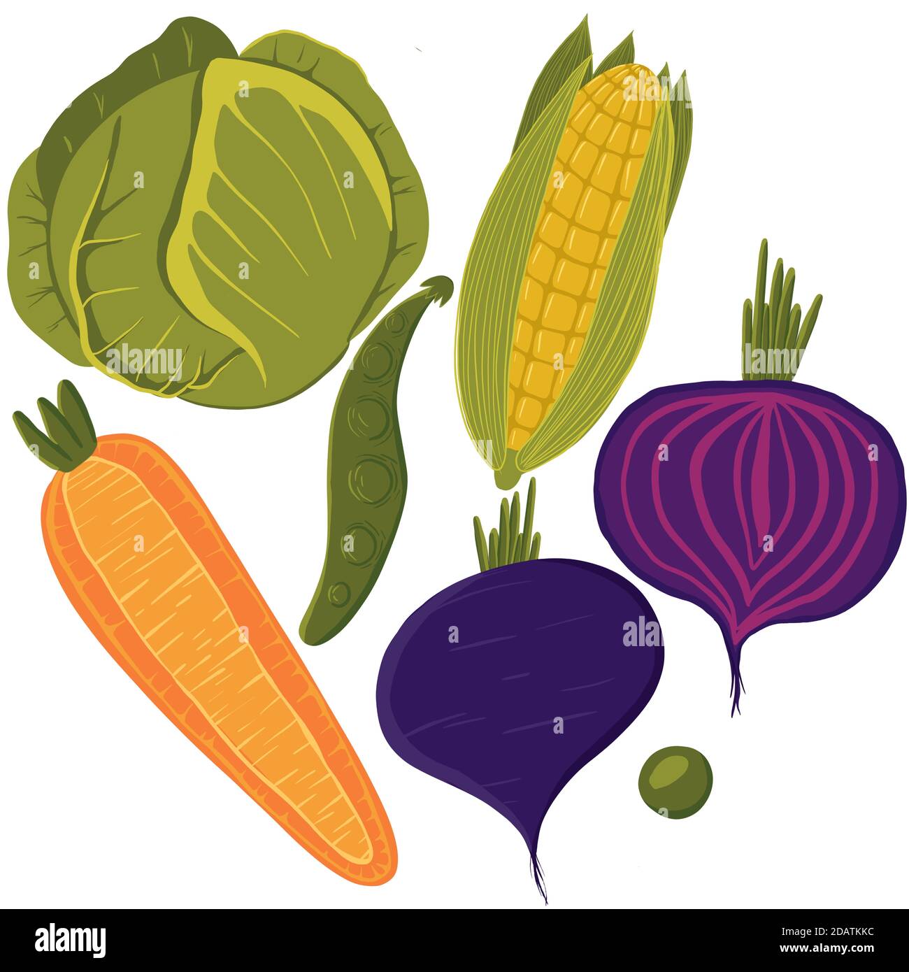 Illustration of a set of vegetables Stock Photo - Alamy