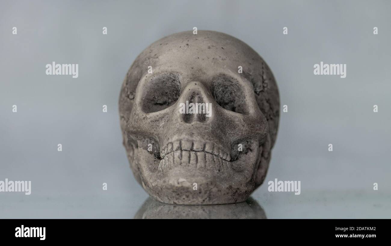 Human skeleton layout skull hi-res stock photography and images - Alamy