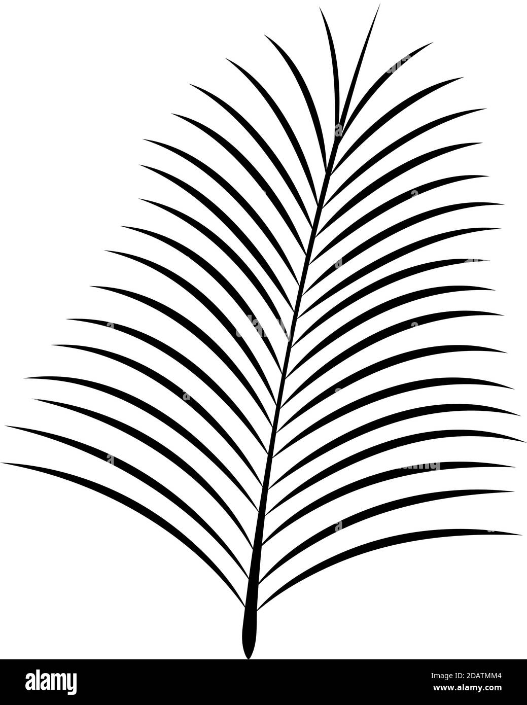black silhouette date palm leaf. vector icon Stock Vector Image & Art ...