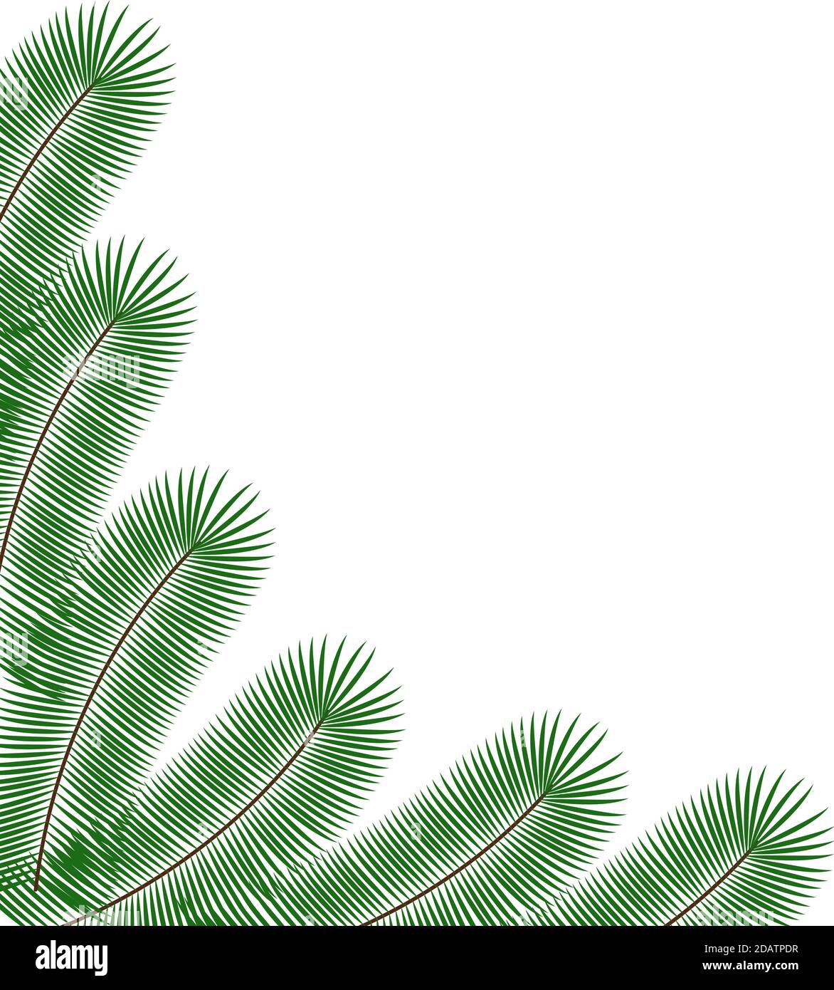 Corner frame fir branches Stock Vector Images - Alamy