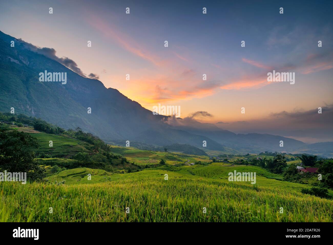Terraced rice fields in Y ty, Sapa, Laocai, Vietnam seen from the ...