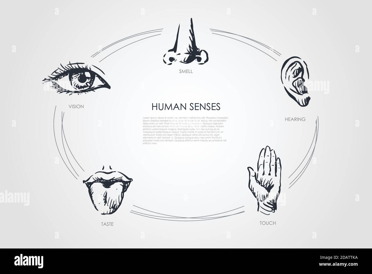 Human senses - vision, taste, touch, hearing, smell vector concept set ...