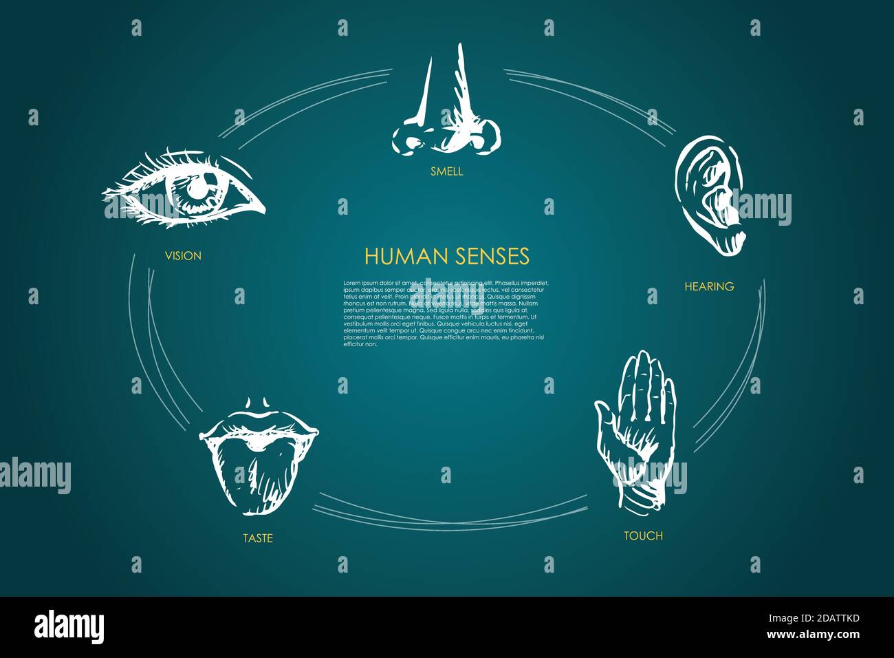 Human senses - vision, taste, touch, hearing, smell vector concept set ...