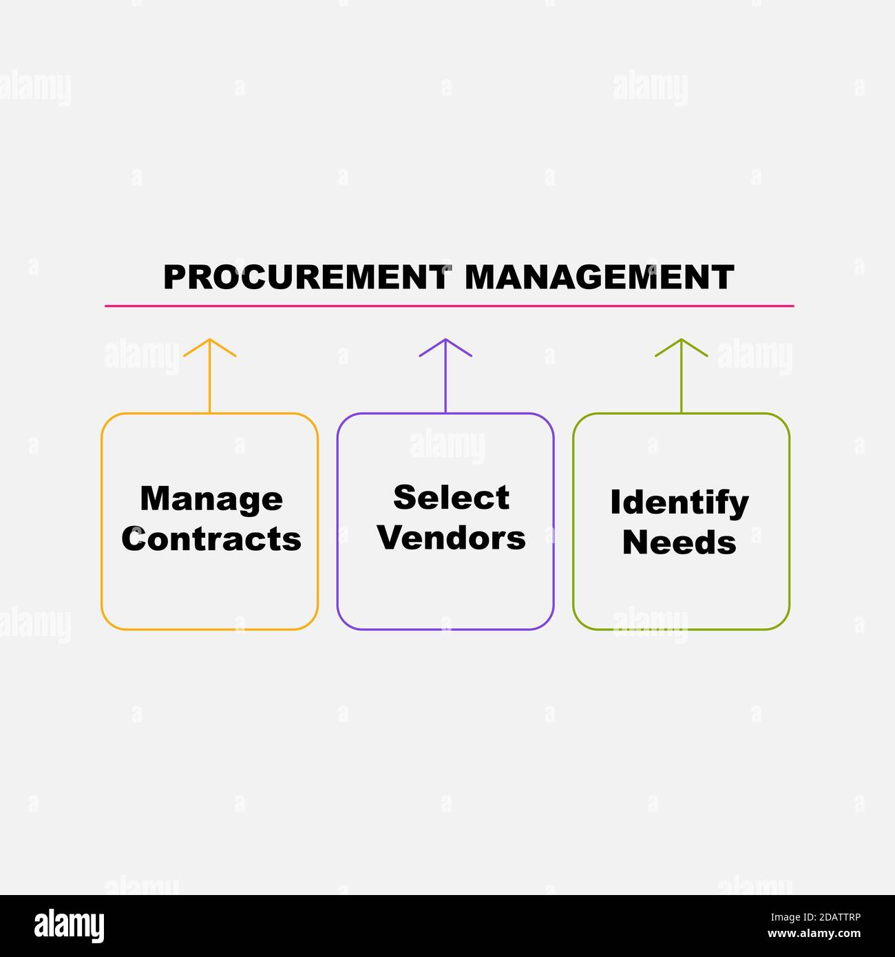 Diagram of Procurement Management with keywords. EPS 10 - isolated on ...