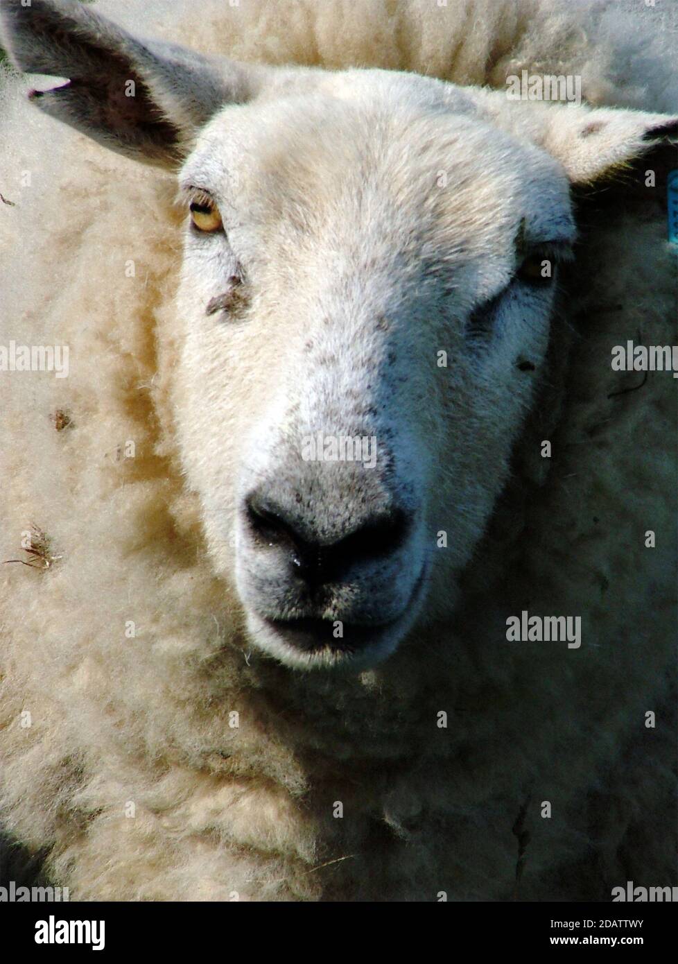 Higher parts of the mountains hi-res stock photography and images - Alamy