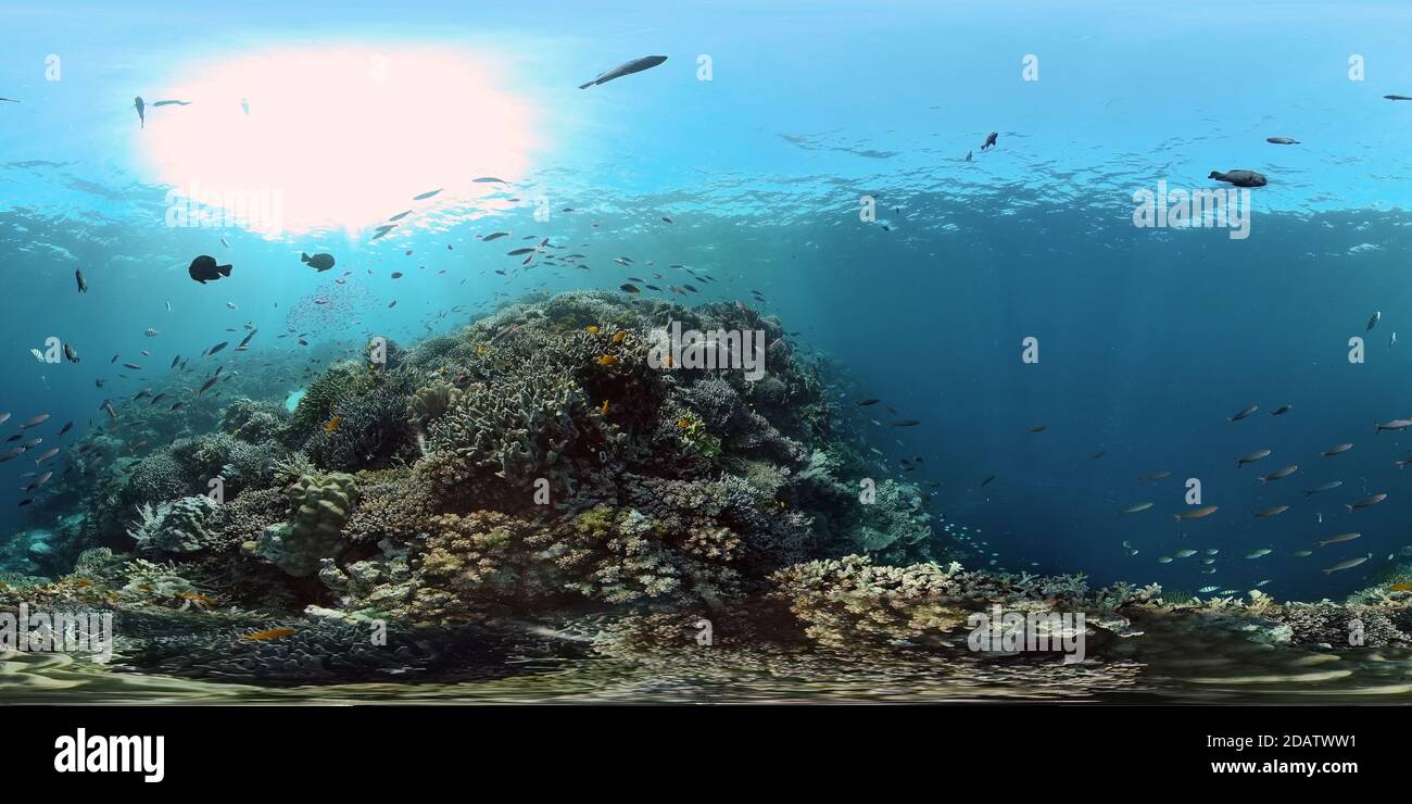 Underwater 360 hi-res stock photography and images - Alamy