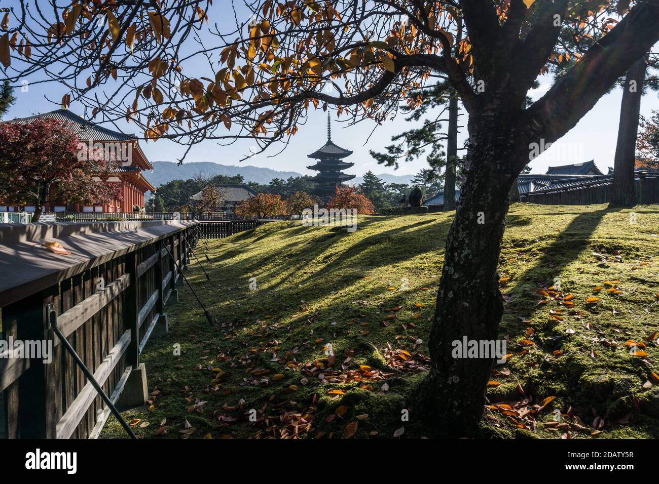 Five storey pagoda hi-res stock photography and images - Alamy