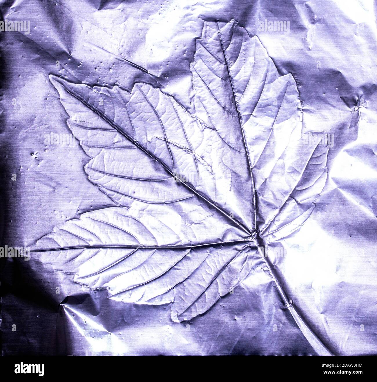 A Holographic Foil Leaf and Leaves with Veins Texture Shiny Pattern ...