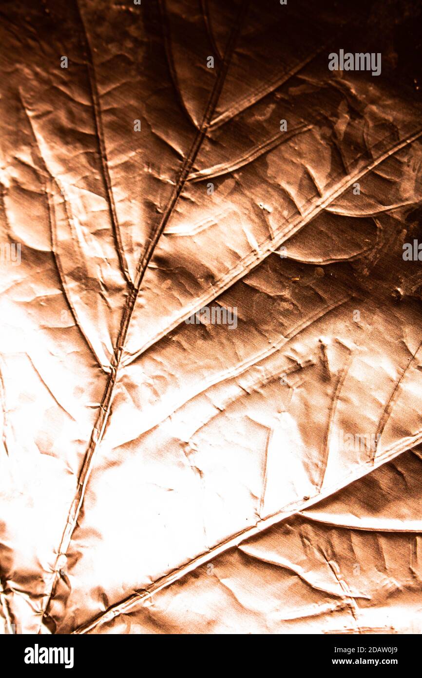 A gold Holographic Foil Leaf and Leaves with Veins Texture Shiny ...