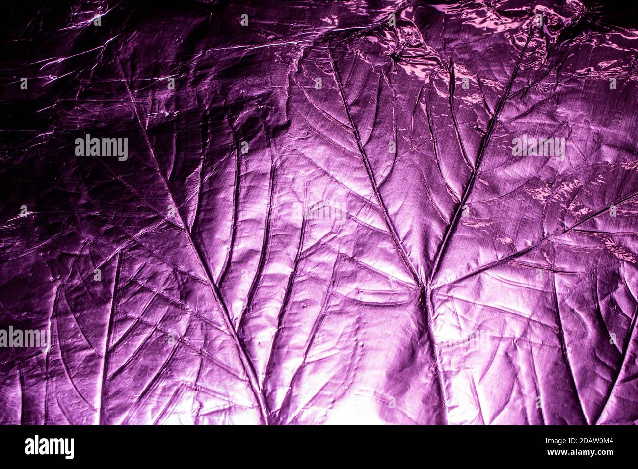 A Holographic Foil Leaf and Leaves with Veins Texture Shiny Pattern ...