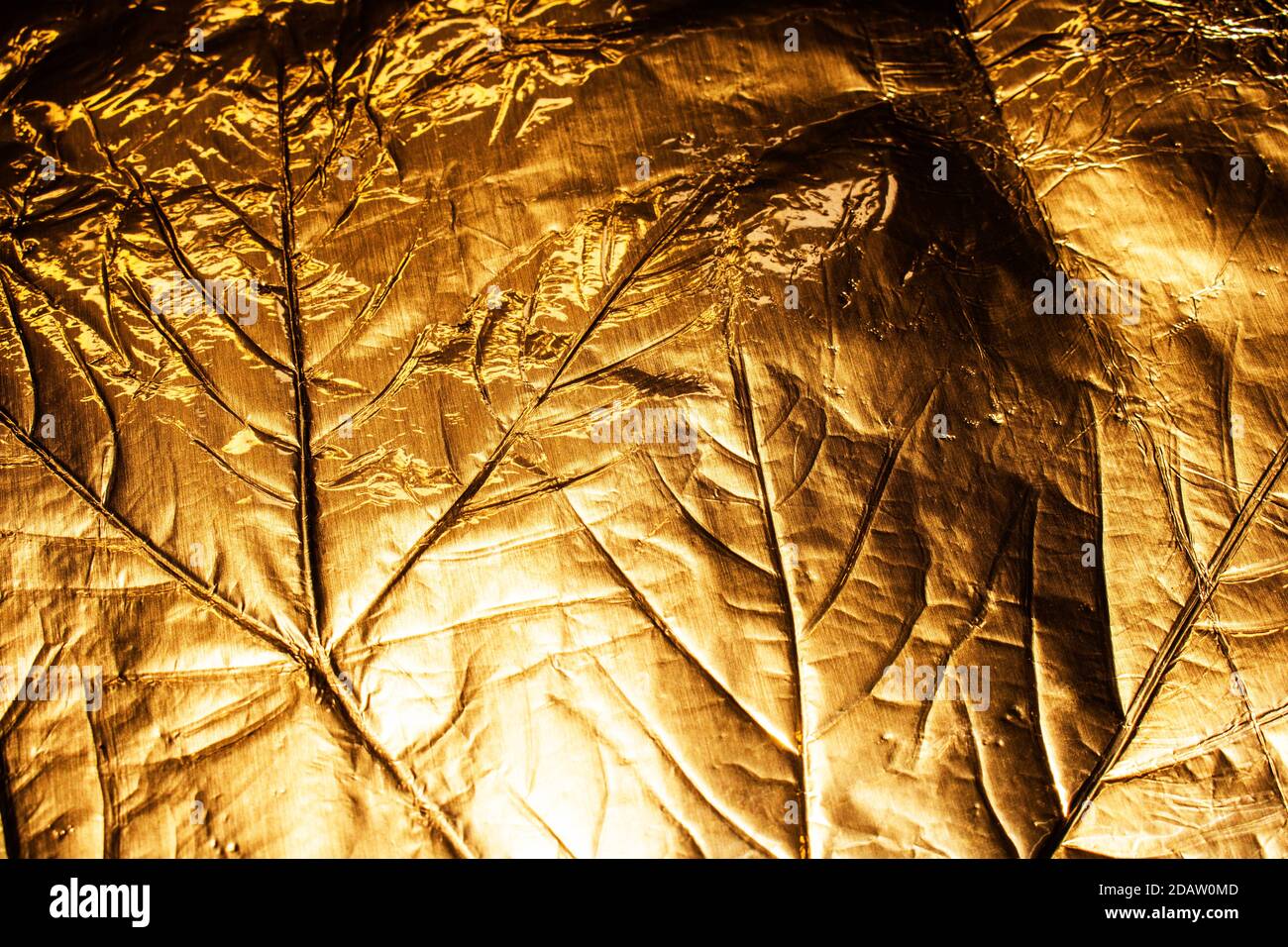 A gold Holographic Foil Leaf and Leaves with Veins Texture Shiny ...