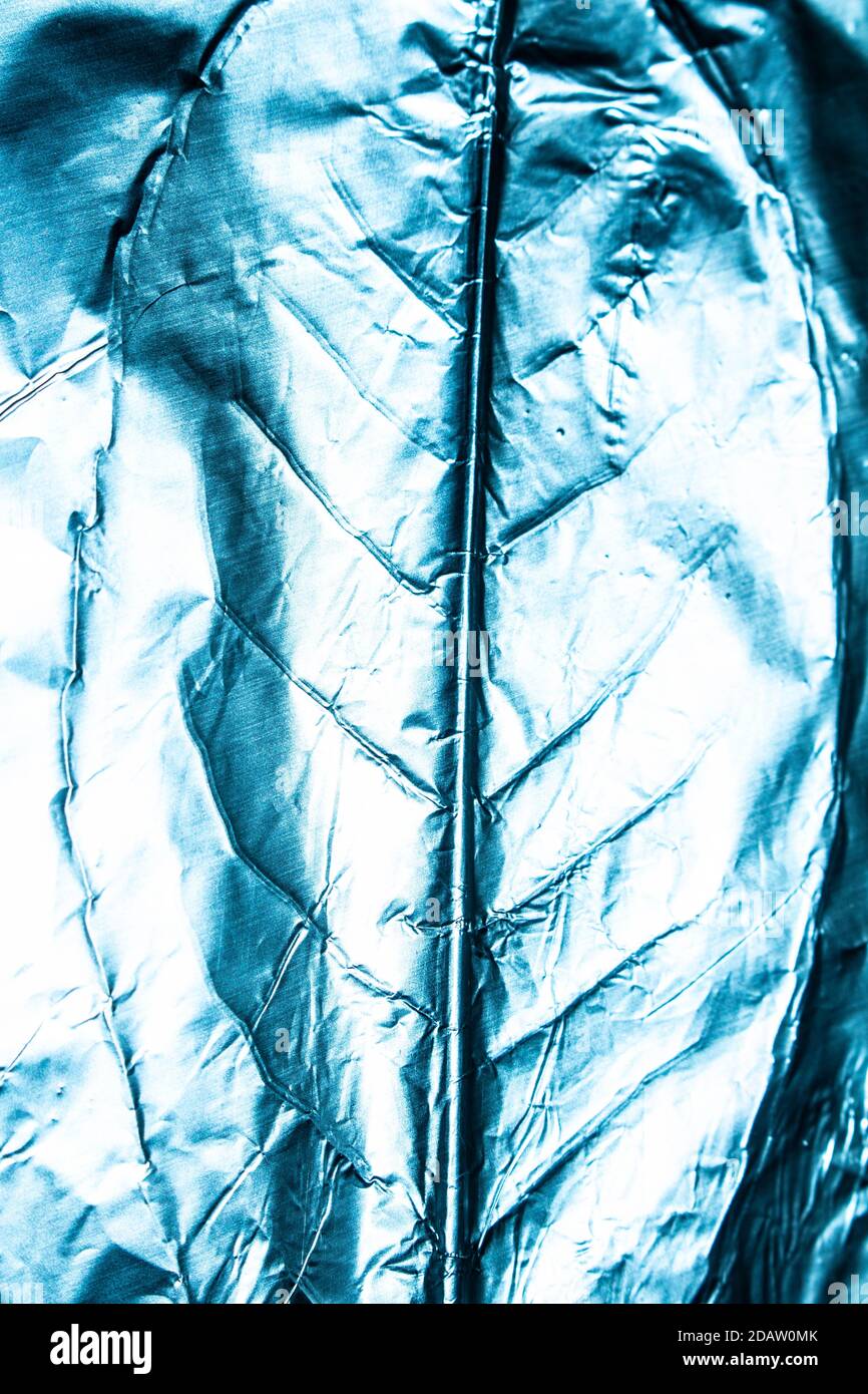 A Holographic Foil Leaf and Leaves with Veins Texture Shiny Pattern ...